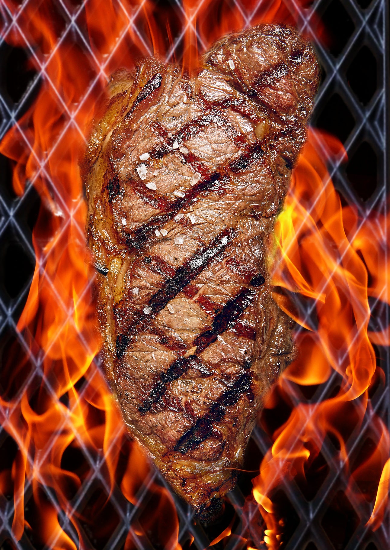 The DynaGlo TriVantage™ Grills